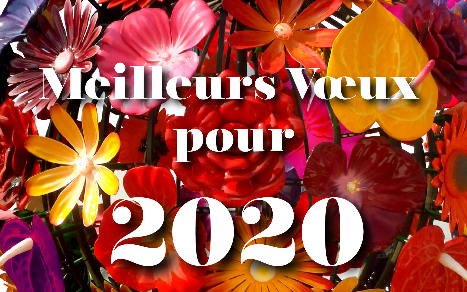 Meilleurs vœux pour 2020 | Les Amis de la place Antonin Poncet